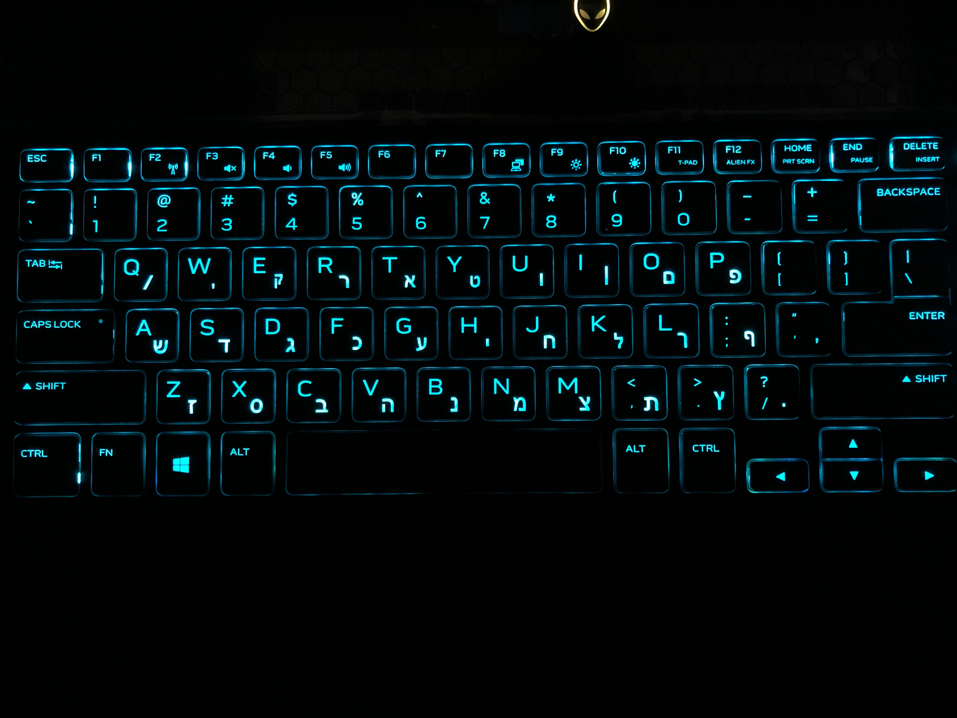 Do you have photos of laser engraving, paint protection film, vinyl ...